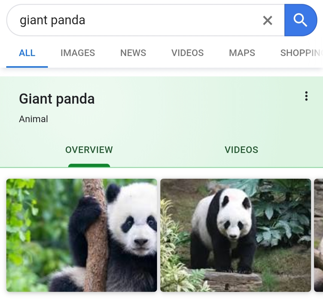 Google 3D Animals – WanderWoMom