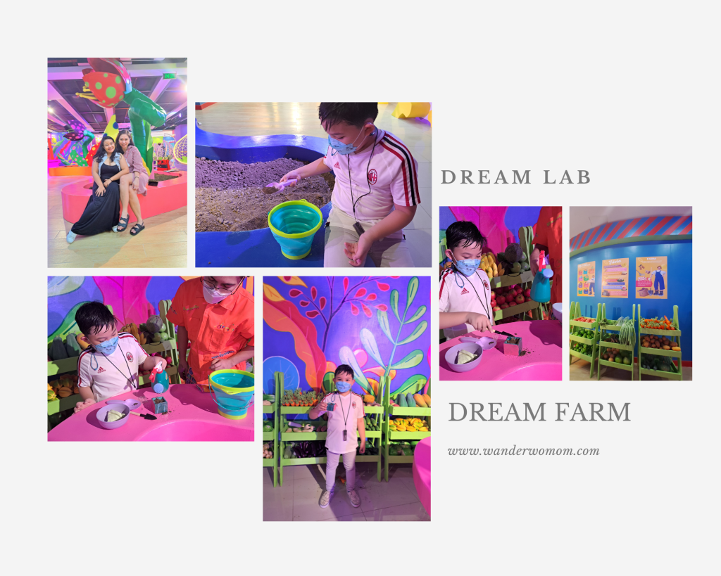 Dream Lab – The Biggest Business Simulation Playground in the World ...